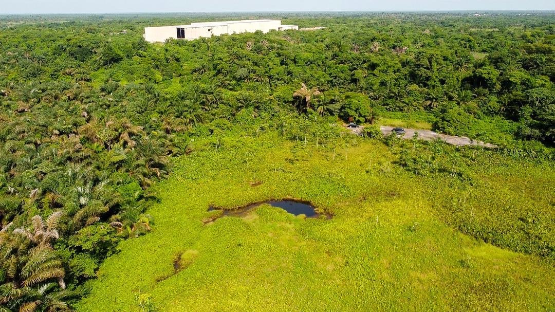 Strategic Land Secured for GRIP’s First Utility-Scale Solar Park – Grid ...